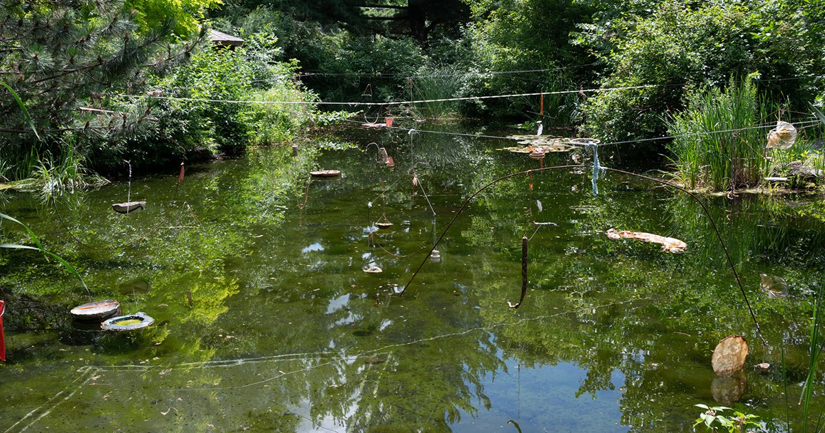 Expression - Carrie Allison, Maude Arès, Katherine Boyer, Hannah Claus ...